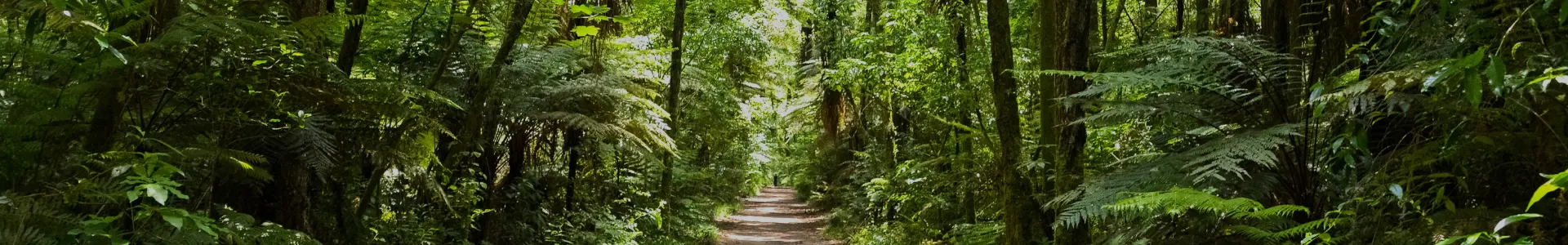 Trap setting installation guide | National Traps